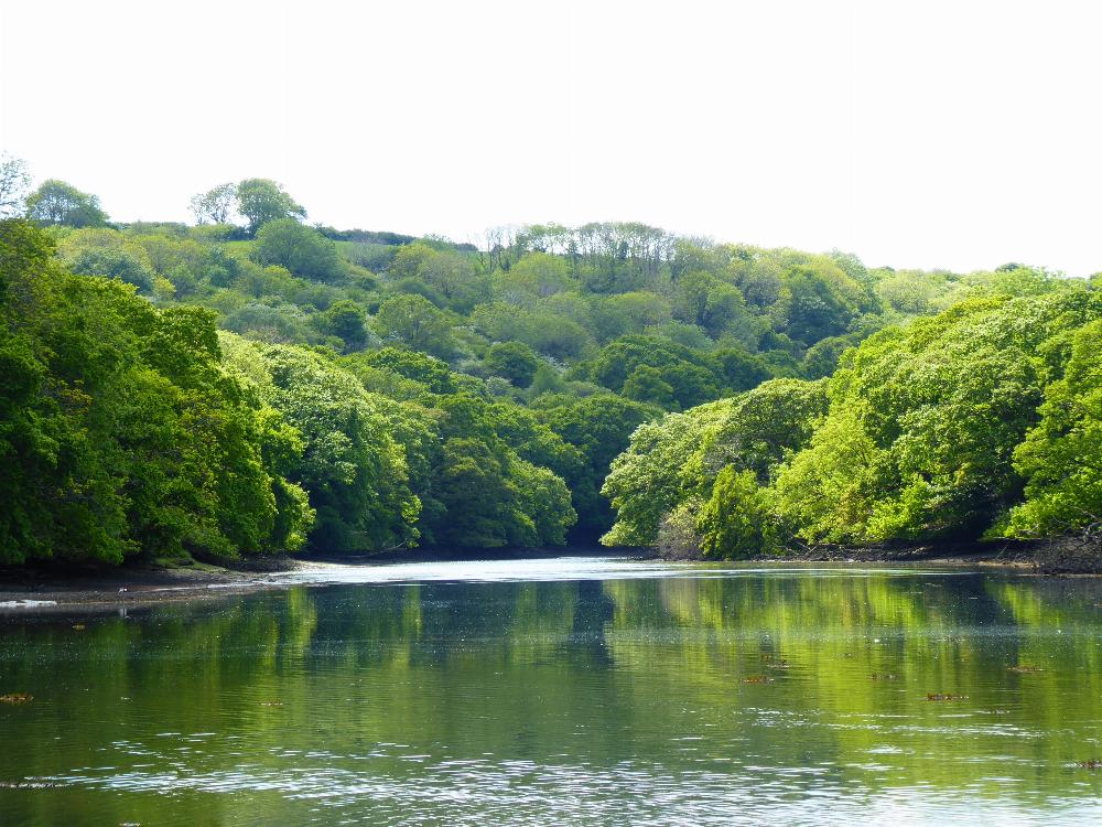 Penpol creek River Fowey Cornwall | Celtic Glory
