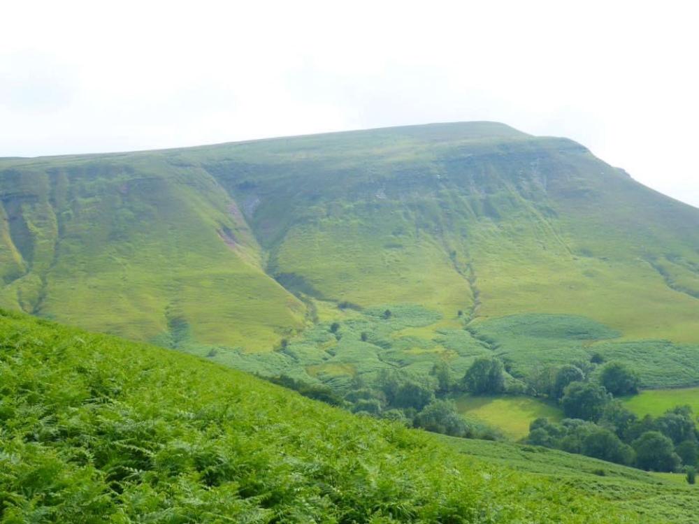 King Brychan was a Celtic Christian king | Celtic Glory