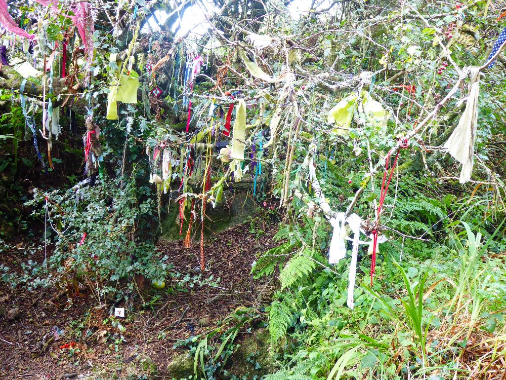 Sancreed Holy Well, Sancreed, Cornwall | Celtic Glory