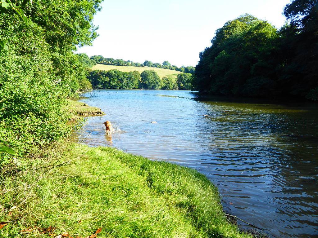 Oratories of St Veep and St Cadix, Cornwall | Celtic Glory