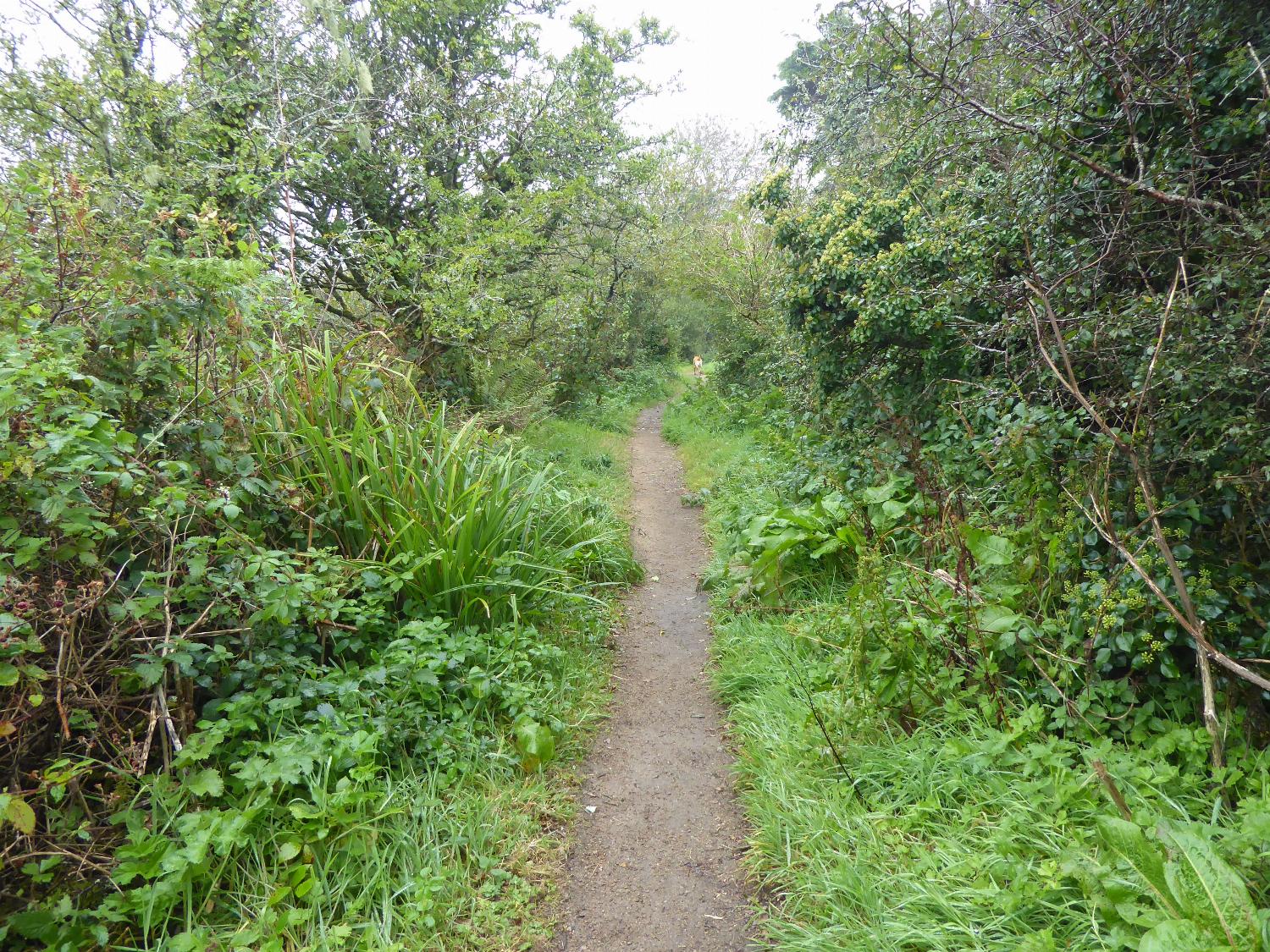 Madron Holy Well and Chapel, Madron | Celtic Glory