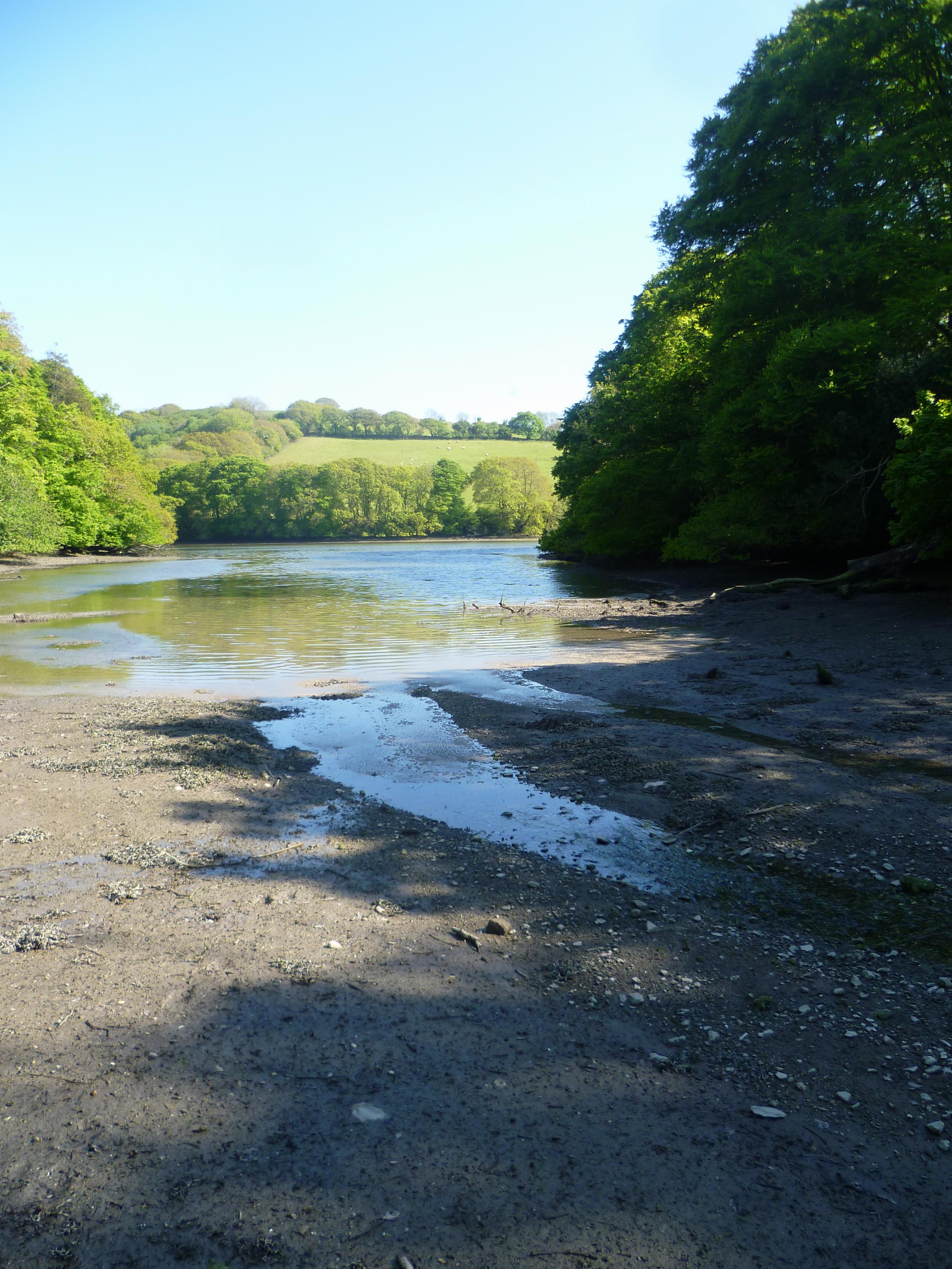Penpol creek River Fowey Cornwall | Celtic Glory