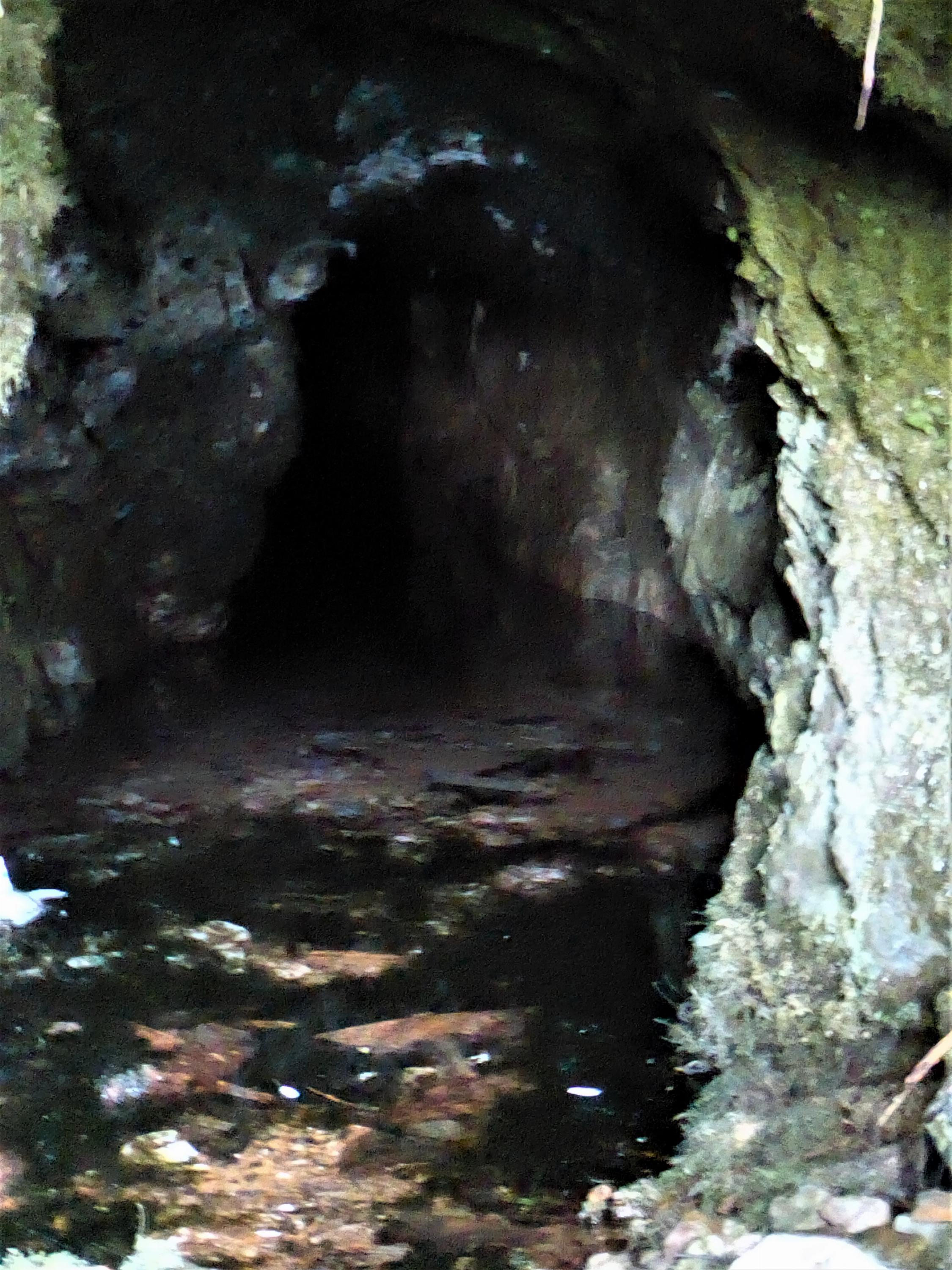 St Samson's Cave, Golant, Cornwall | Celtic Glory