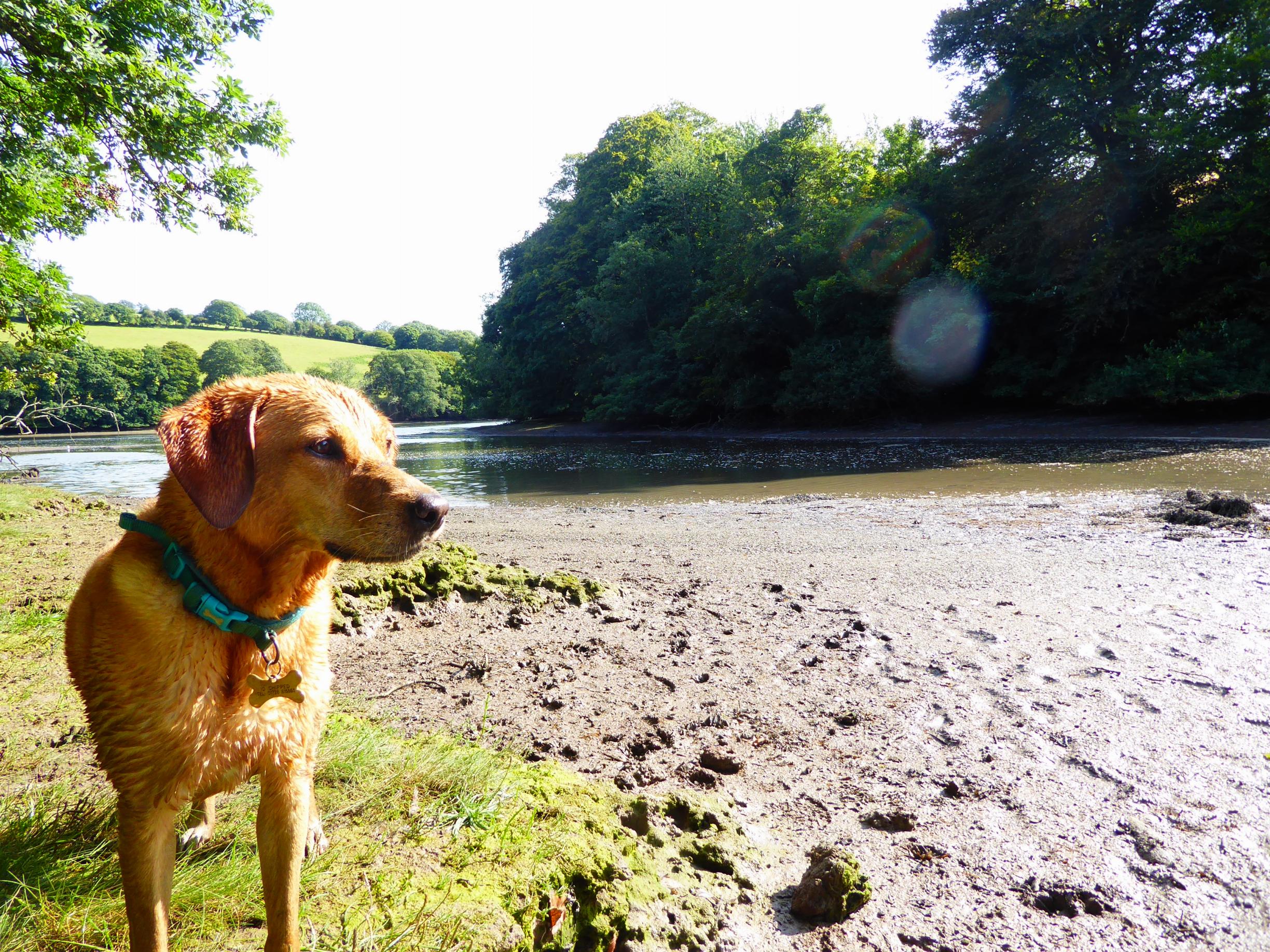 Oratories of St Veep and St Cadix, Cornwall | Celtic Glory