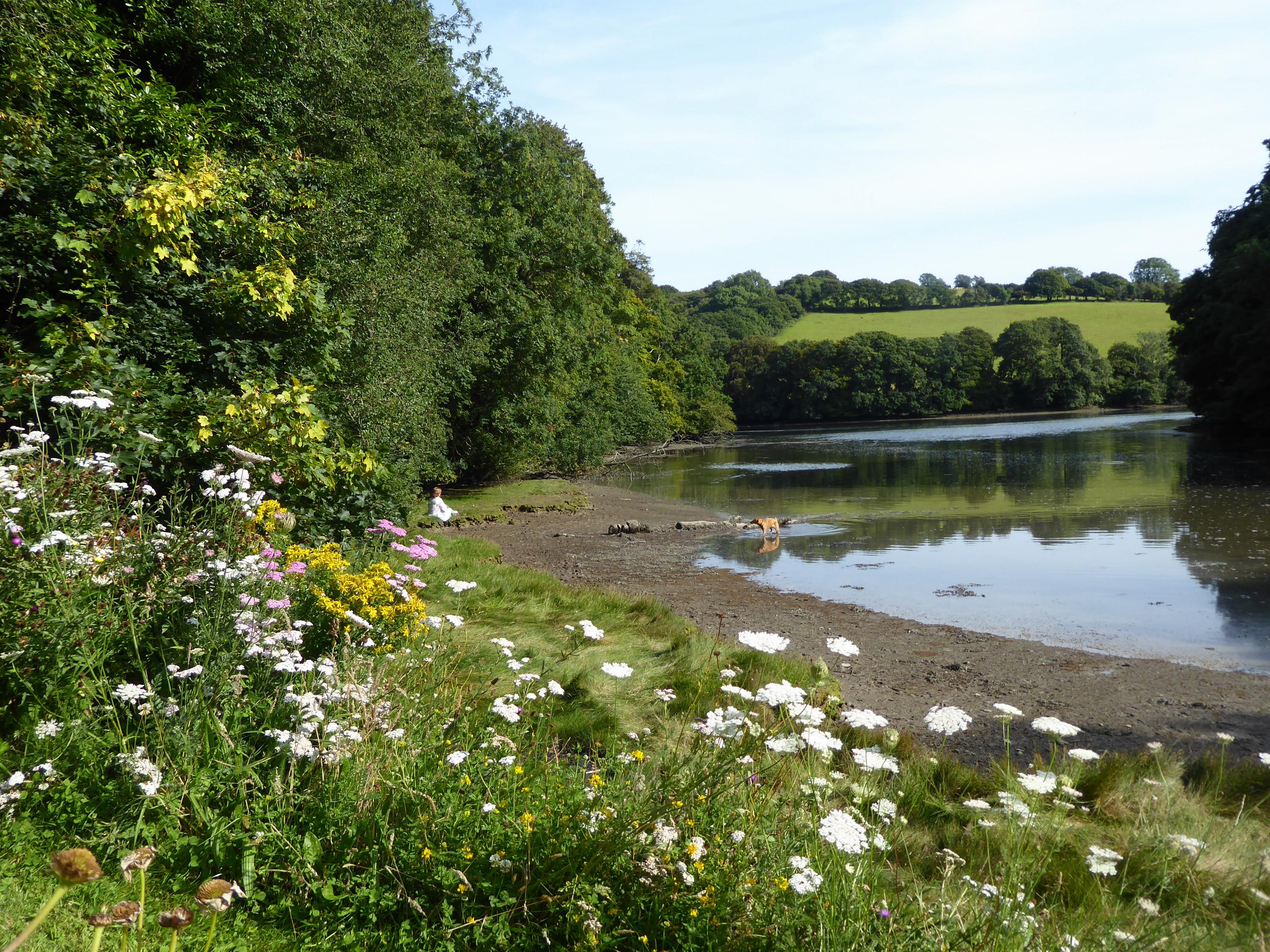 Oratories of St Veep and St Cadix, Cornwall | Celtic Glory