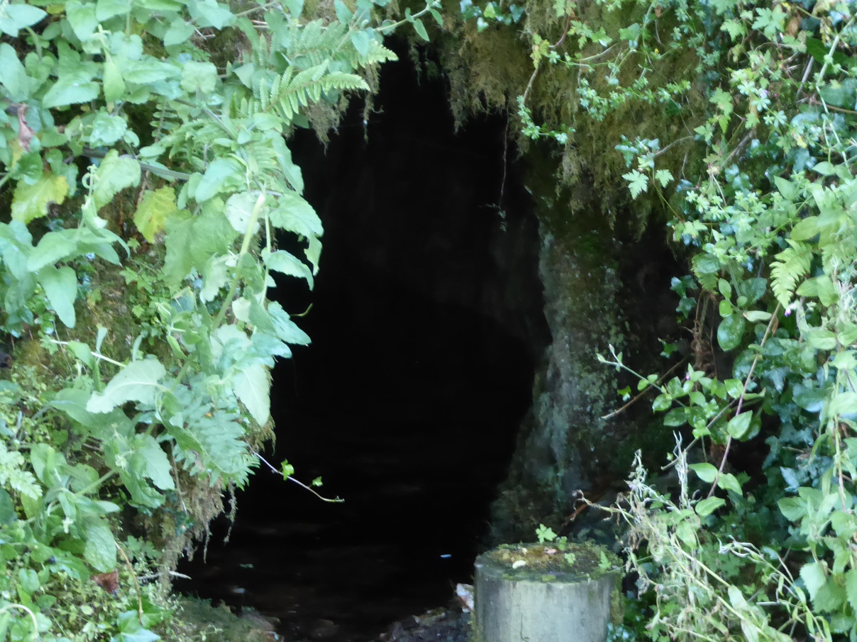 St Sampson’s cave, Golant, River Fowey | Celtic Glory