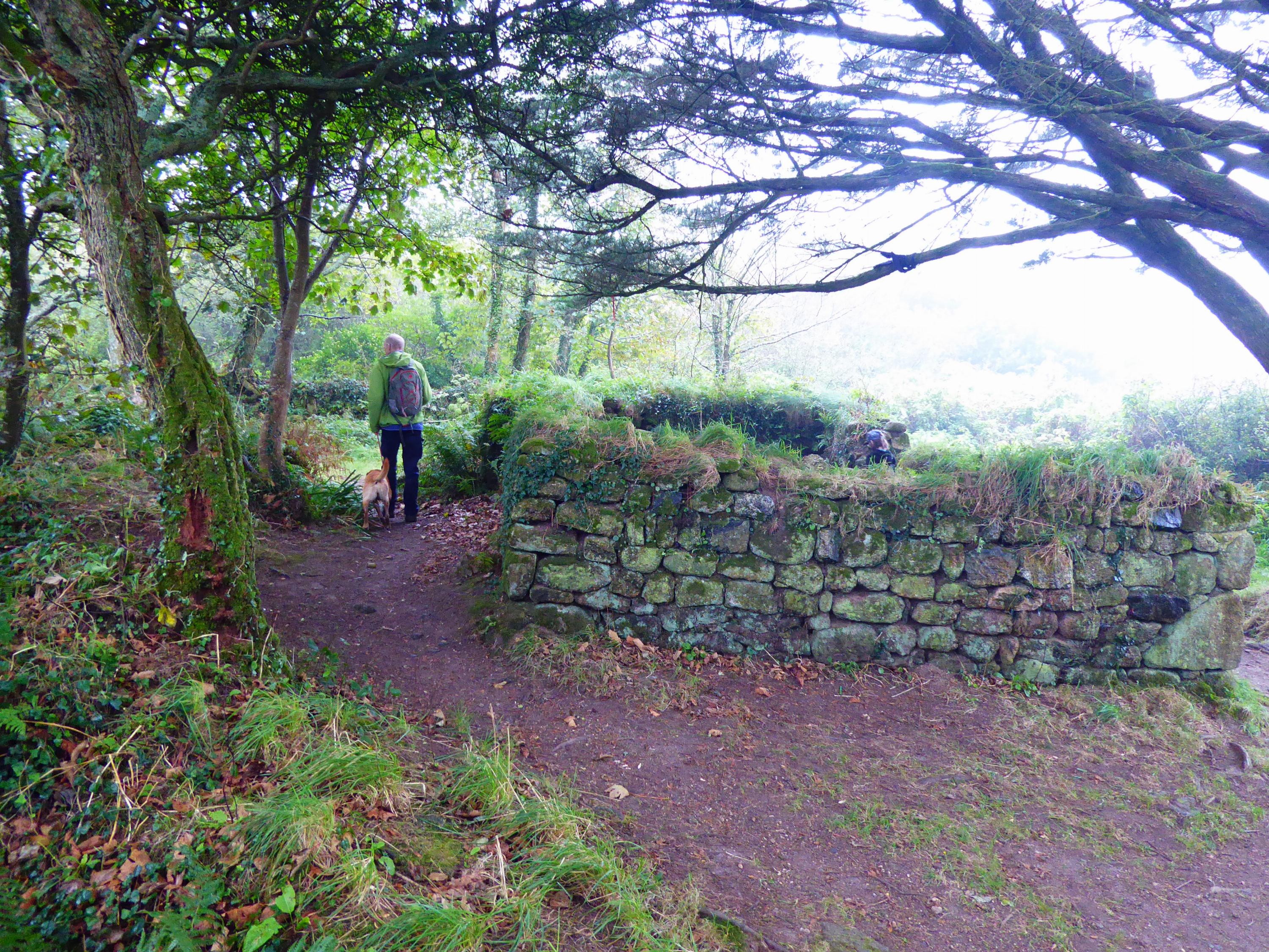 Madron Holy Well and Chapel, Madron | Celtic Glory