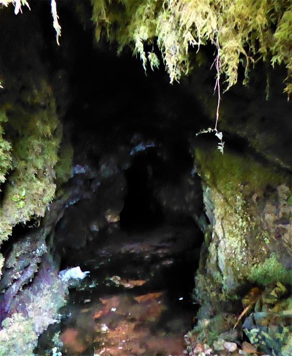 St Sampson’s cave, Golant, River Fowey | Celtic Glory