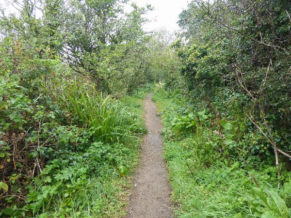 Madron Holy Well and Chapel, Madron | Celtic Glory