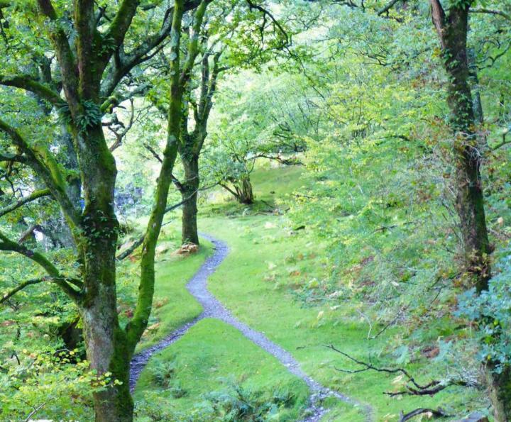 Ancient paths criss-cross all the UK | Celtic Glory