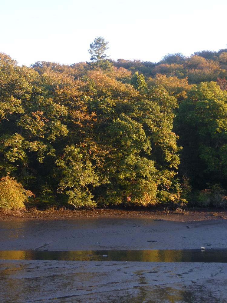 The Saint's Way in Cornwall ancient route | Celtic Glory